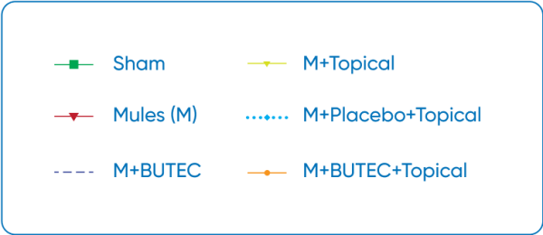 Pain Management - BUTEC OTM